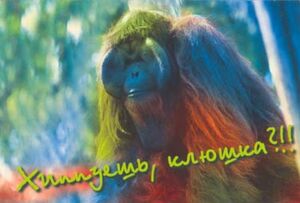 Calendario de Bolsillo: Hippy Stick (Rusia(Year of Monkey) Col:RUS-2004 ...