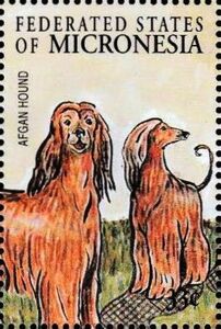 Stamp: Afghan hound (Micronesia, Federated States of(Dogs (2000)) Mi:FM ...