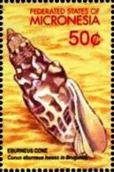 Stamp: Conus eburneus (Micronesia, Federated States of(Shells) Mi:FM ...