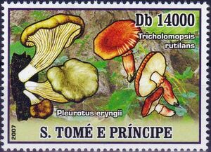 Stamp: Pleurotus eryngii & Tricholomopsis rutilans (São Tomé and ...