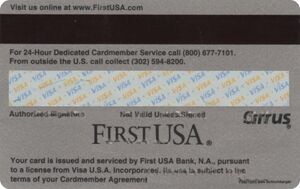 Bank Card: First USA Platinum Visa (First USA Bank, United States of ...