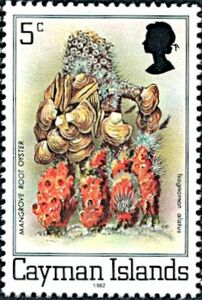 Sello: Mangrove Root Oyster (Isognomon alatus) (Islas Caimán(Wildlife ...