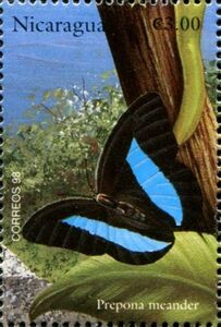 Stamp: Meander Prepona (Prepona meander) (Nicaragua) (Tropical Flora ...