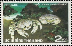 Stamp: Spotted Moon Crab (Matuta lunaris) (Thailand(Thai Crabs - 1st ...