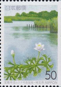 Stamp: Aldrovanda vesiculosa in a Pond in the Hozoji Wetland (Japan ...
