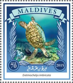 Stamp: Hawksbill Sea Turtle (Eretmochelys imbricata) (Maldives ...