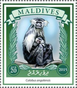 Stamp: Angola Colobus (Colobus angolensis) (Maldives(Conservation ...