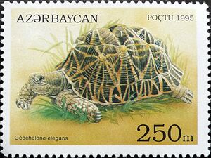Stamp: Indian Star Tortoise (Testudo elegans) (Azerbaijan) (Tortoises ...