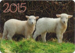 Pocket Calendar: Two Lamb (Russia(Symbol of the Year) Col:RUS-2015 ...