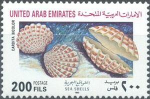Stamp: Twotoned Cardita (Cardita bicolor) (United Arab Emirates(Sea ...