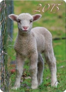 Pocket Calendar: Lamb (Russia(Symbol of the Year) Col:RUS-2015-Sheep-006.02