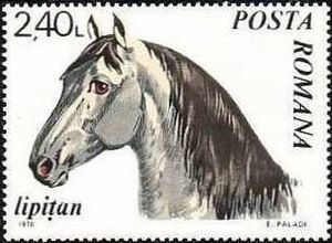 Stamp: Lipizzan Horse (Equus ferus caballus) (Romania(Horses (1970)) Mi ...