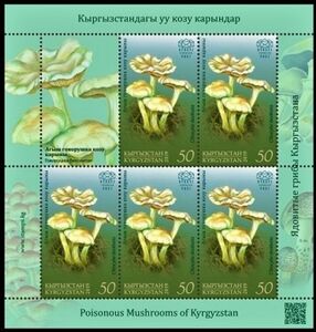 Stamp: Ivory Funnel (Clytocibe dealbata) (Kyrgyzstan: Kyrgyz Express ...