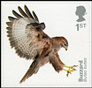 Stamp: Buzzard (Self Adhesive) (United Kingdom of Great Britain ...