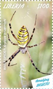 Stamp: Wasp Spider (Argiope bruennichi) (Liberia(Amazing Insects (2019 ...