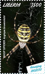 Stamp: Wasp Spider (Argiope bruennichi) (Liberia(Amazing Insects (2019 ...