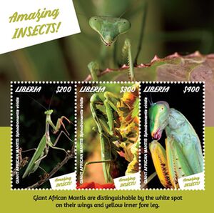 Stamp: Giant African Mantis (Sphodromantis viridis) (Liberia(Amazing ...