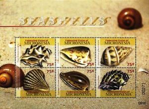 Stamp: Shells (Micronesia, Federated States of(Shells) Mi:FM 1983 ...