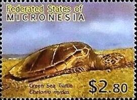 Stamp: Chelonia mydas (Micronesia, Federated States of(Turtles) Mi:FM ...