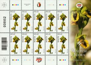Stamp: Ophrys lutea - Yellow Bee-Orchid (Malta(Maltese Flora (4th ...
