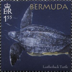 Stamp: 50th Anniversary of the Bermuda Turtle Project (Bermuda(50th ...