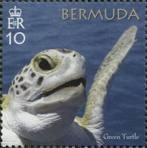 Stamp: 50th Anniversary of the Bermuda Turtle Project (Bermuda) (50th ...