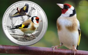 Coin: 1 Dollar (Goldfinch) (Niue(Numismatic Product - The Fascinating ...