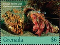 Stamp: Stareye Hermit Crab (Dardanus venosus) (Grenada(Hermit Crabs ...