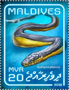 Stamp: Yellow-bellied Sea Snake (Hydrophis platurus) (Maldives(Sea ...