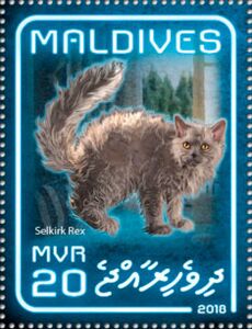 Stamp: Selkirk Rex (Maldives(Cats (2018)) Mi:MV 7585,Sn:MV 4146c,Yt:MV 6224