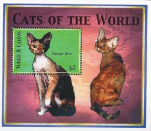 Stamp: Devon Rex (Felis silvestris catus) (Turks and Caicos Islands ...