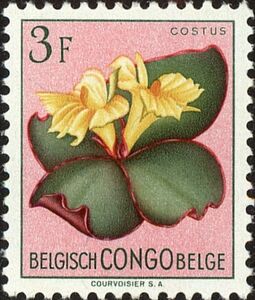 Stamp: Yellow Trumpet (Costus spectabilis) (Belgian Congo(Flowers) Mi ...