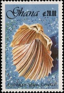 Stamp: Elephant's Snout Volute (Cymbium glans) (see Description) (Ghana ...