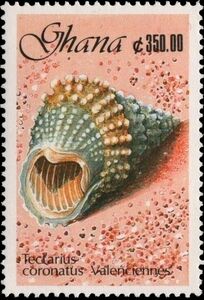 Stamp: Beaded Prickly Winkle (Tectarius coronatus) (Ghana) (Seashells ...