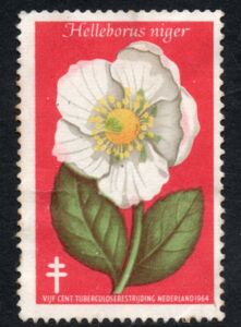 Stamp: Tuberculosis (Cinderellas(Netherlands) Col:NL 1964-01