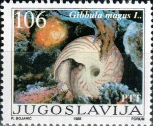 Stamp: Great Top Shell (Gibbula magus) (Yugoslavia) (Shells) Mi:YU 2275 ...