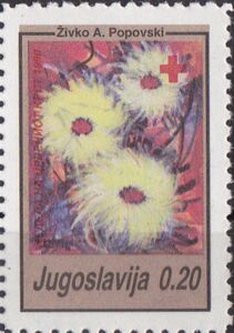 Stamp: 45 years of Macedonian Red Cross (Yugoslavia(Red Cross) Mi:YU ...