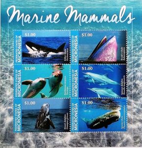 Stamp: Marine mammals (Micronesia, Federated States of(Marine Mammals ...