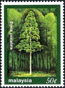 Stamp: Jelutong (Dyera costulata) (Malaysia(Trees) Mi:MY 232,Sn:MY 231 ...