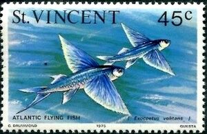 Stamp: Blue Flying Fish (Exocoetus volitans) (Saint Vincent and The ...