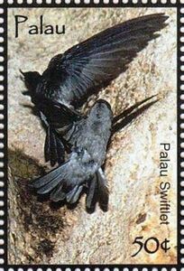 Stamp: Palau swiftlet (Aerodramus pelewensis) (Palau(Endemic Birds of ...