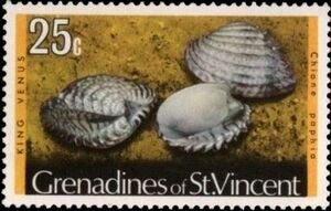 Stamp: King Venus (Chione paphia) (Grenadines of St. Vincent) (Shells ...