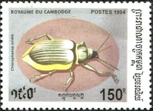 Stamp: Green Weevil (Chloropanus viridis) (Cambodia(Beetles (1994)) Mi ...