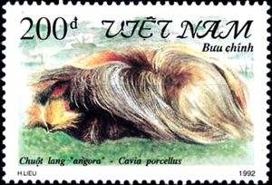 Stamp: Angora Guinea Pig (Cavia orcellus) (Vietnam(Rodents) Mi:VN 2469 ...