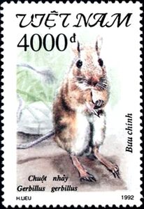 Stamp: Lesser Egyptian Gerbil (Gerbillus gerbillus) (Vietnam(Rodents ...
