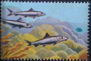 Stamp: Bone Fish (Palau(International Stamp Exhibition "AMERIPEX '86 ...