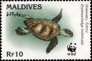 Stamp: Hawksbill Turtle (Eretmochelys imbricata) (Maldives(WWF ...