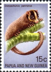 Stamp: Feather-tailed Possum (Distoechurus pennatus) (Papua New Guinea ...