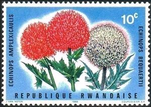 Stamp: Echinops amplexicaulis (Rwanda(Blossoms) Mi:RW 157A,Sn:RW 151,Yt ...