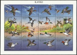 Stamp: Fauna of Belarus - Ducks (1996) (Belarus(Fauna of Belarus ...